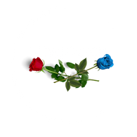 ABOUT US – moessance